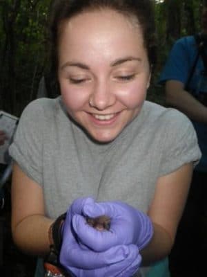 Ecological Summer Internship Scheme - Acer Ecology