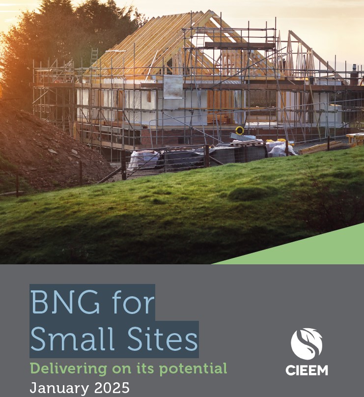 Understanding the Small Sites Metric and Its Role in Biodiversity Net ...